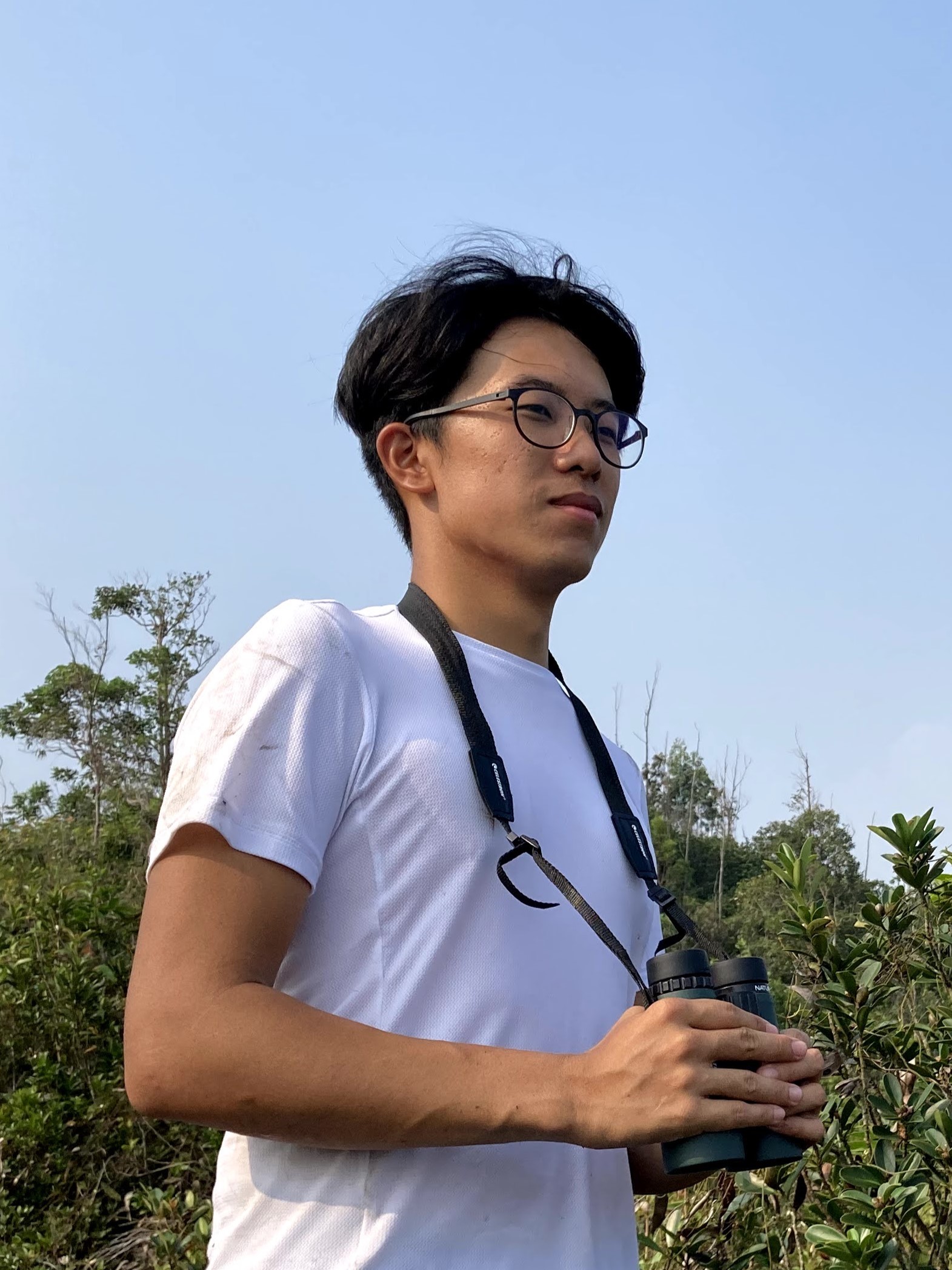 Edward WONG – Ecosystems Limited